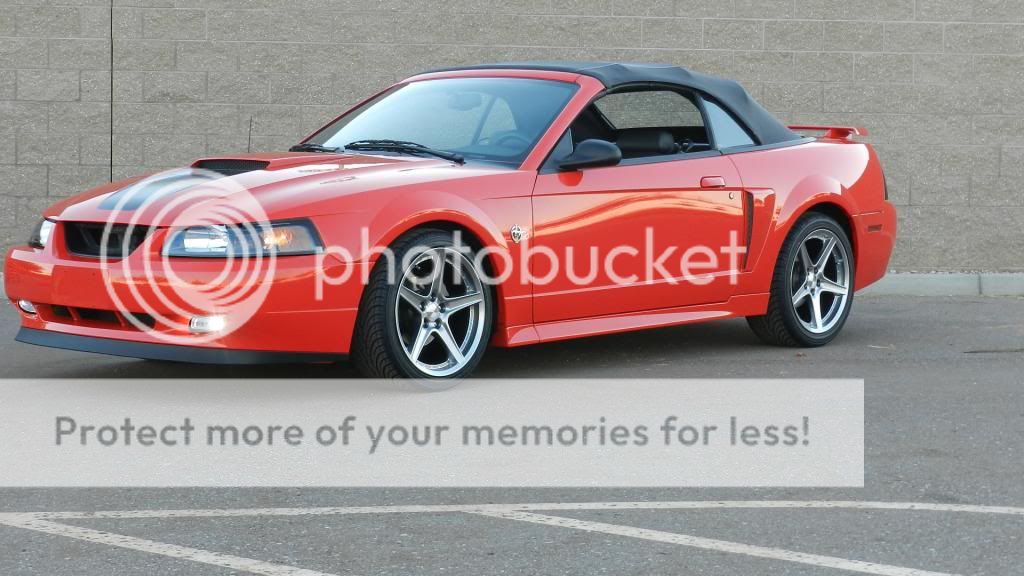 Photos after 18X9" Hyper Silver Saleen's | Modded Mustang Forums